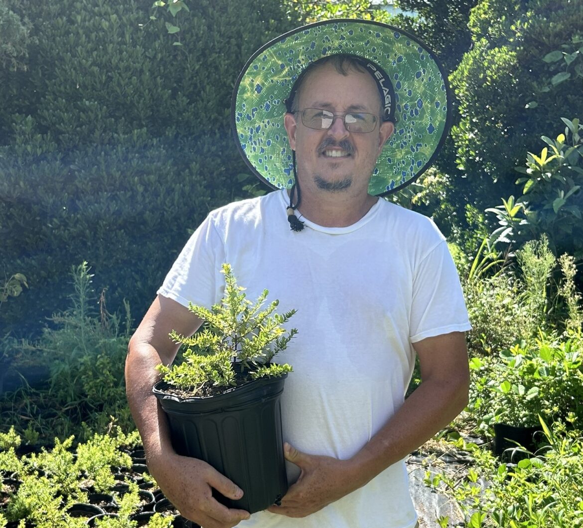 Landscaping with Endemic Plants - RG Magazines